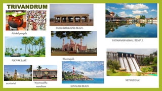 KERALA GOG'S OWN COUNTRY- IMPORTANT PLACES TO VISIT | PPTX