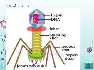 Iris Zahra VirusVirusVirusVirusVirus.pptx