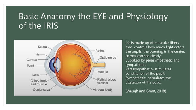 Iritis and Corneal Ulcer Presentation.pptx
