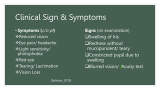 Iritis and Corneal Ulcer Presentation.pptx