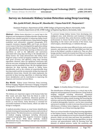 Survey on Automatic Kidney Lesion Detection using Deep Learning | PDF