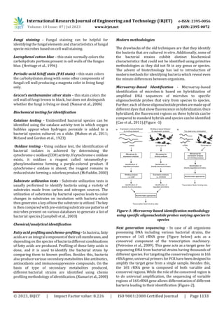 Isolation and identification of protease producing bacteria | PDF