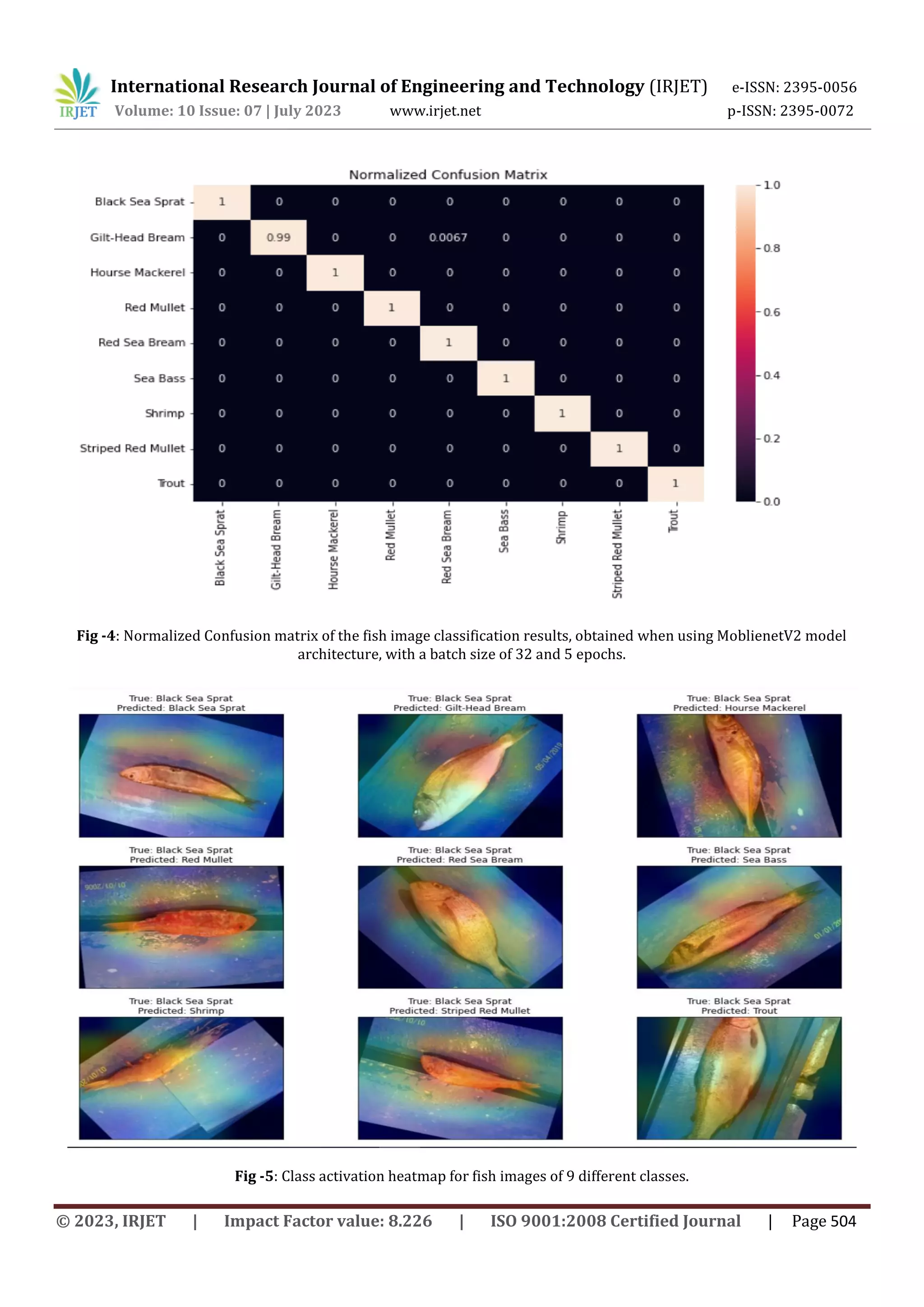 Automated Fish Species Detection | PDF