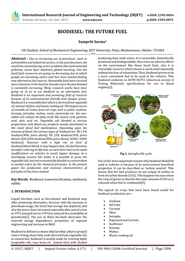 Biodiesel: The Future Fuel | PDF