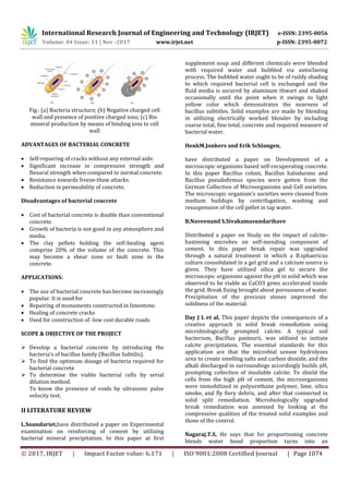 Bacterial Concrete and Effect of Different Bacteria on the Strength and ...