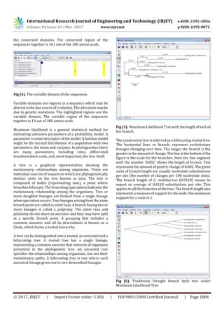 Analysis of Phylogenetic Relationship Among Carangoides Species using Mega 6 | PDF | Biological ...