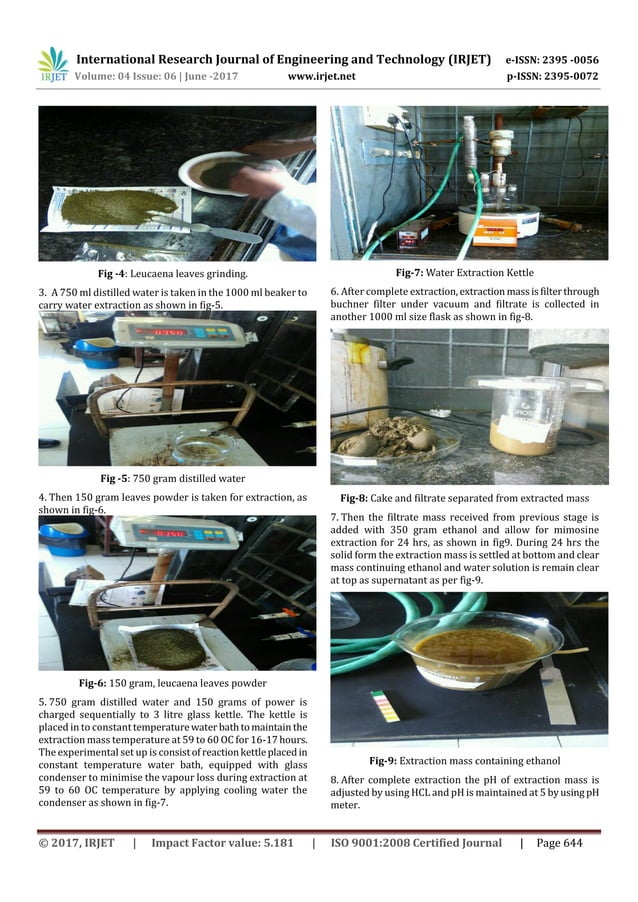 Lab Scale Extraction of Mimosine from Leucaena Leucocephala Leaves | PDF