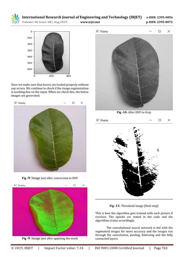 IRJET- Leaf Quality Detection for Rudimentary Urban Home Gardeners ...