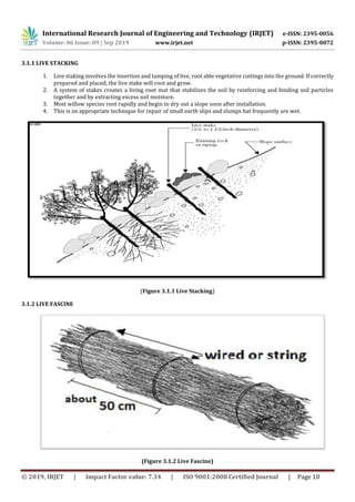 IRJET- Slope Stability by Live Staking Method of Soil BioEngineering | PDF