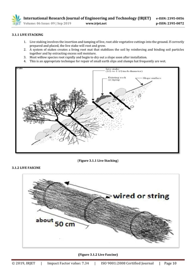 IRJET- Slope Stability by Live Staking Method of Soil BioEngineering ...