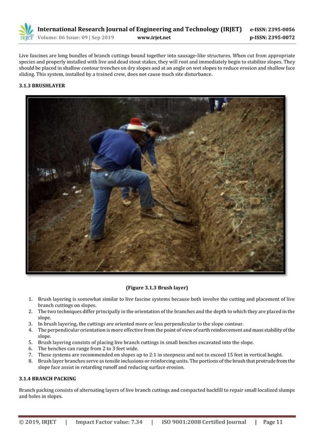 IRJET- Slope Stability by Live Staking Method of Soil BioEngineering ...