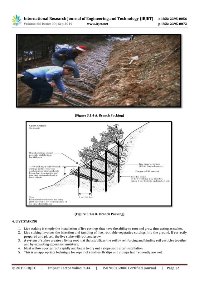 IRJET- Slope Stability by Live Staking Method of Soil BioEngineering | PDF