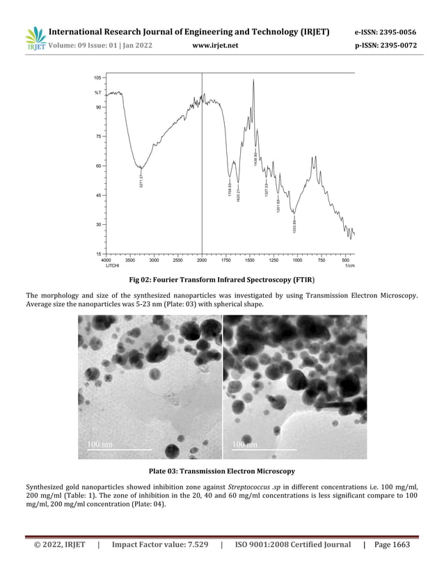 Plant Mediated Synthesis of Gold Nanoparticles from Litchi Seeds and its Antimicrobial Activity ...