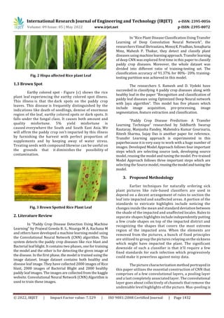 RICE PLANT DISEASE DETECTION AND REMEDIES RECOMMENDATION USING MACHINE ...