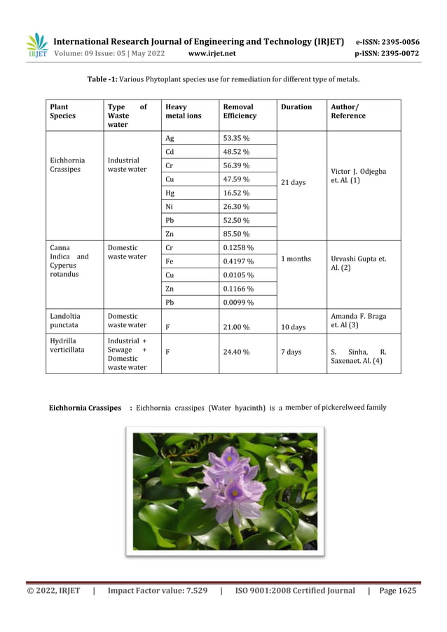 Phytoremediation: A Promising Approach Towards the Decontamination of Wastewater | PDF