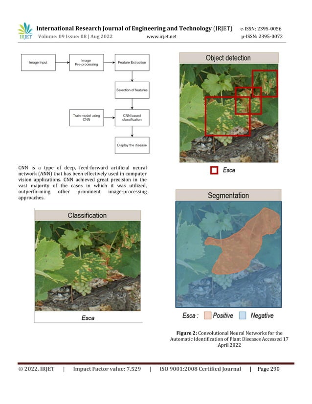 Artificial Intelligence In Agriculture: Crop Disease Detection And ...