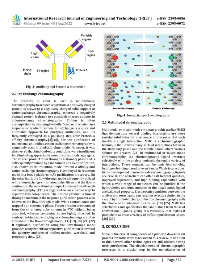 A Review on Chromatography-based purification of monoclonal antibody | PDF | Biotech and ...