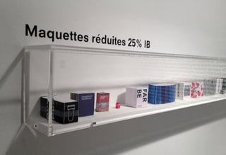 Irma boom presentation | PPT