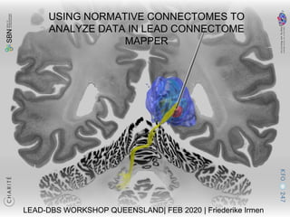 Normative Connectomes Leadmapper | PPTX