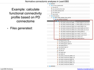 Normative Connectomes Leadmapper | PPTX