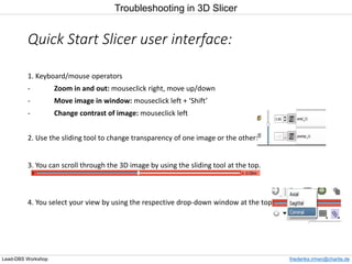 Slicer Troubleshooting | PPTX
