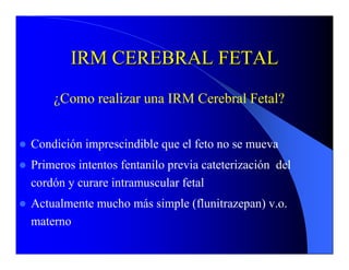 Irm Fetal Neonatologos | PDF