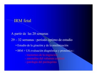 Irm Fetal Neonatologos | PDF