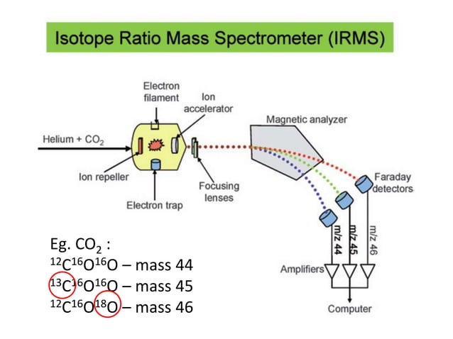 Irms (introduction) | PPTX | Chemistry | Science