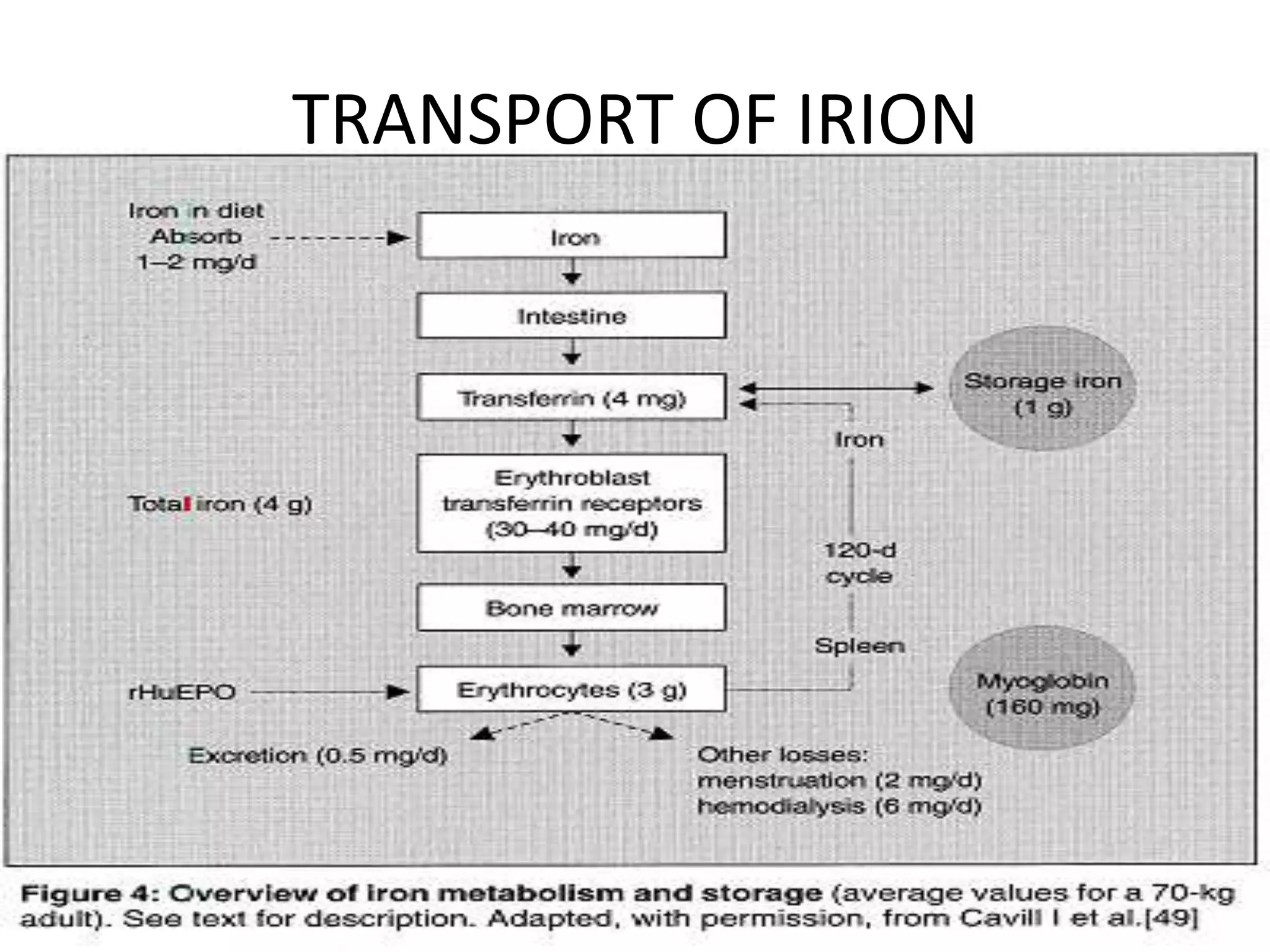 Iron | PPTX