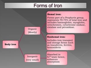 Iron | PPT