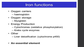 Iron | PPTX