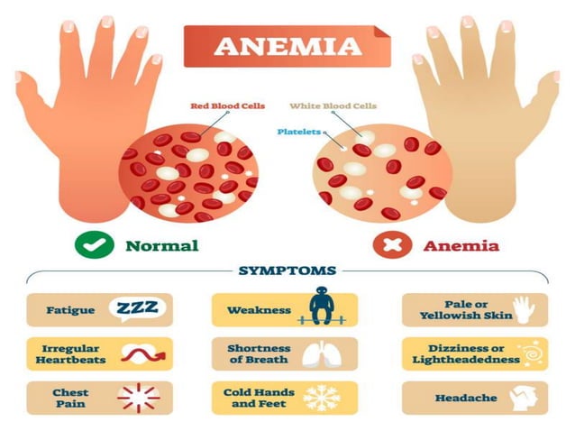 Iron biochemical role, rda and deficiency bic 105 | PPTX | Blood ...
