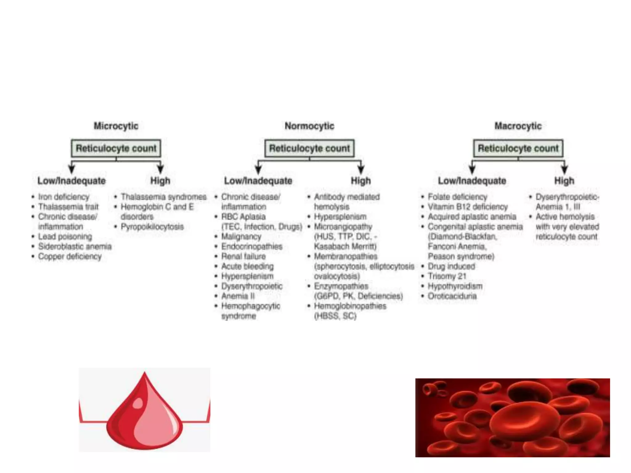 Iron deficiency anemia in children | PPTX