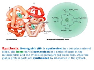Iron role and metabolism with nutritional Anemia | PPTX