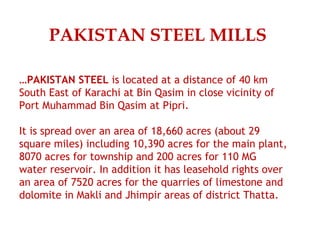 Iron and steel industry 2008 | PPT