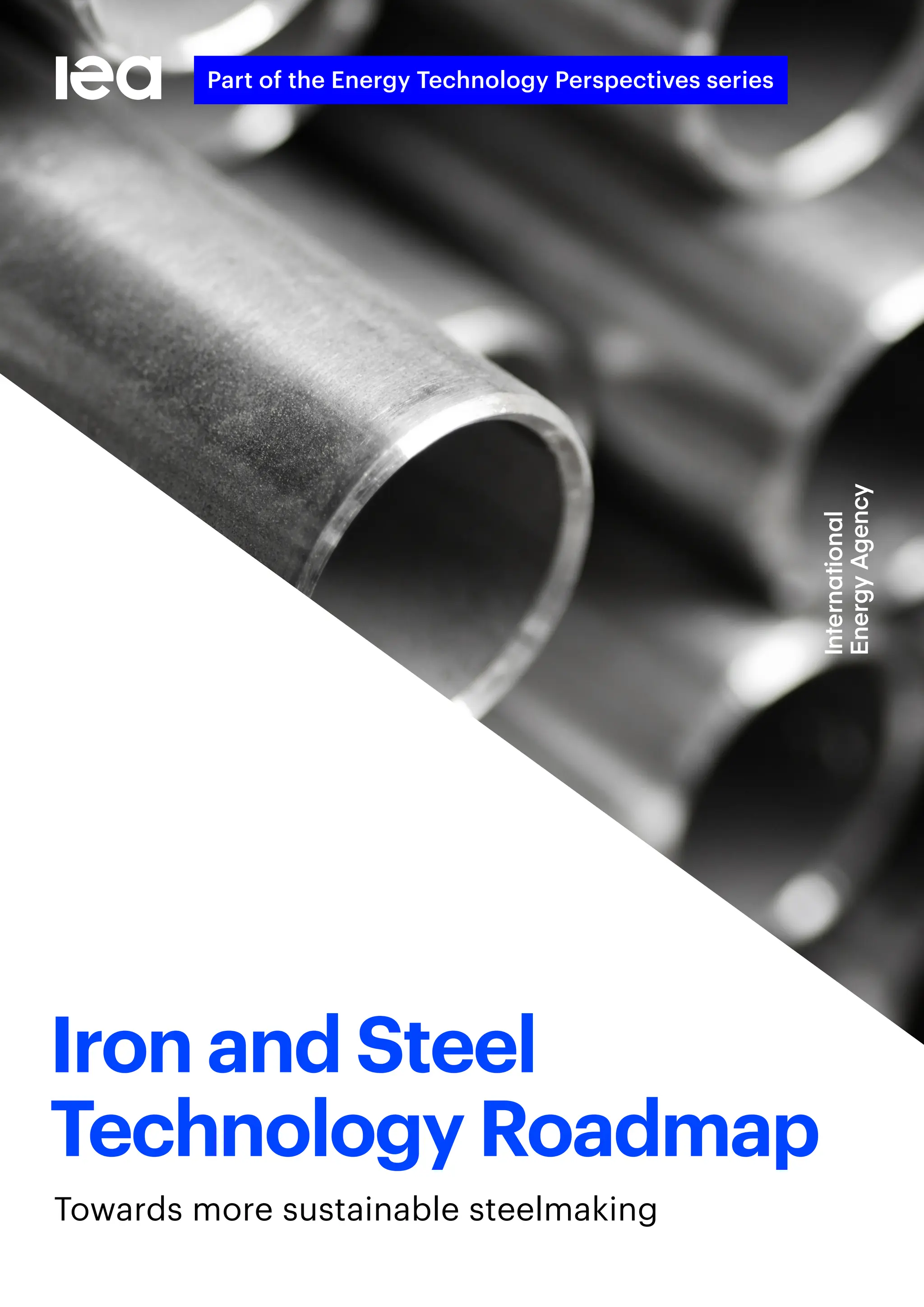Iron and Steel Technology Roadmap - Towards more sustainable ...