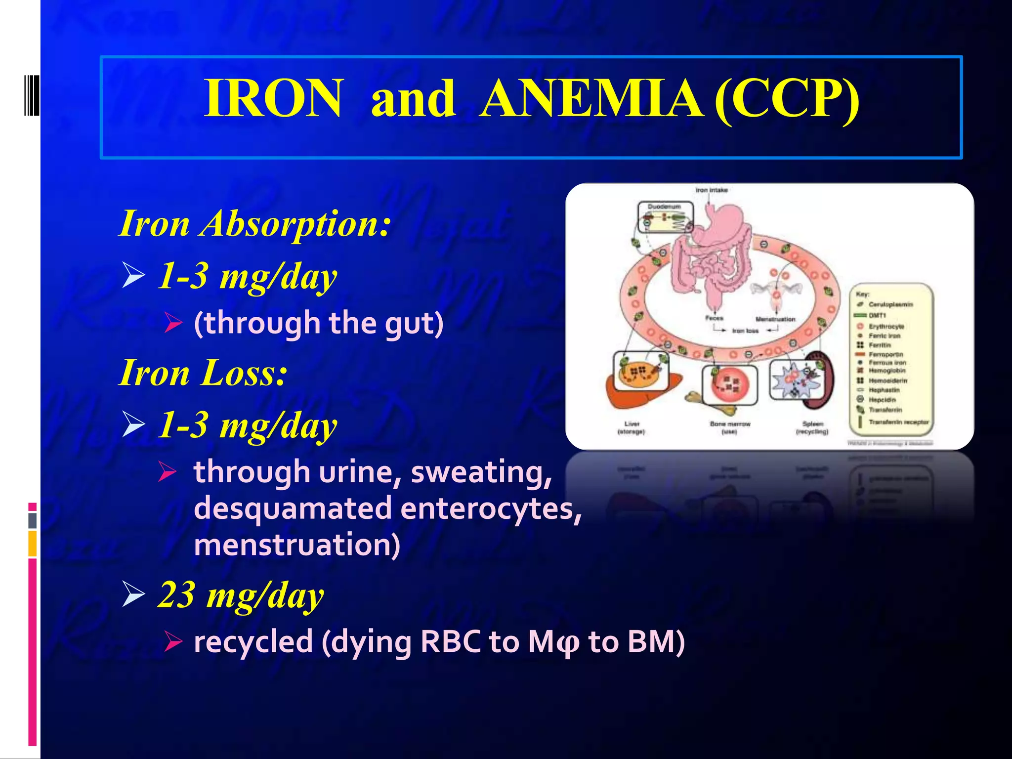 Iron and anemia in CCM | PPT