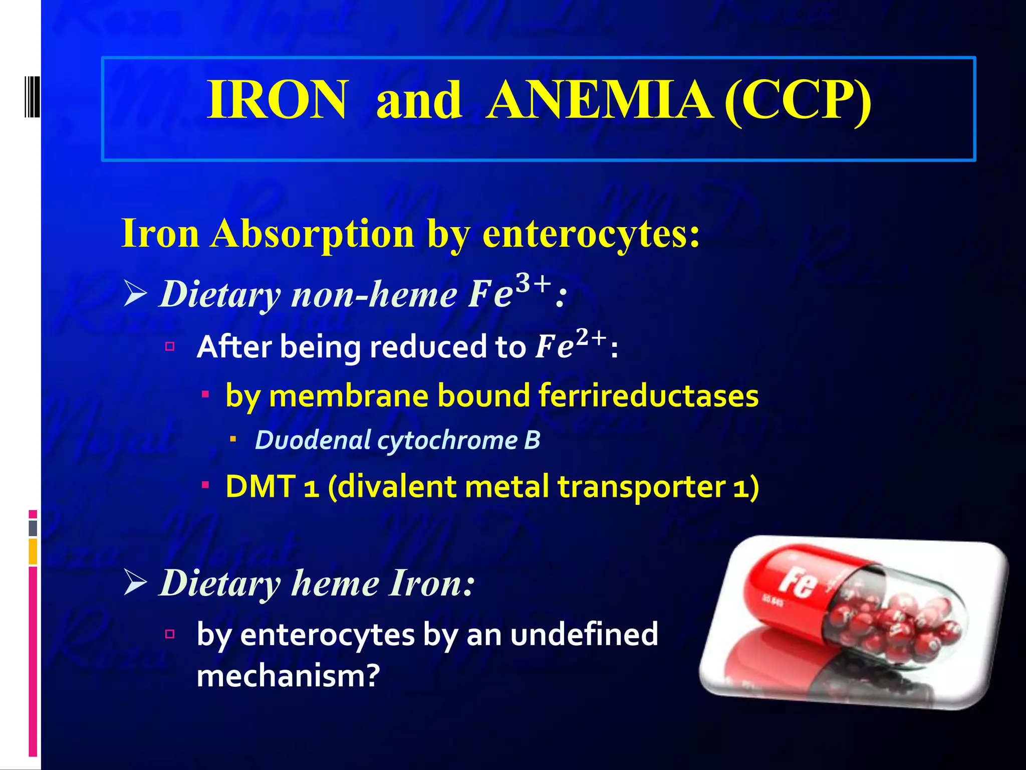 Iron and anemia in CCM | PPT