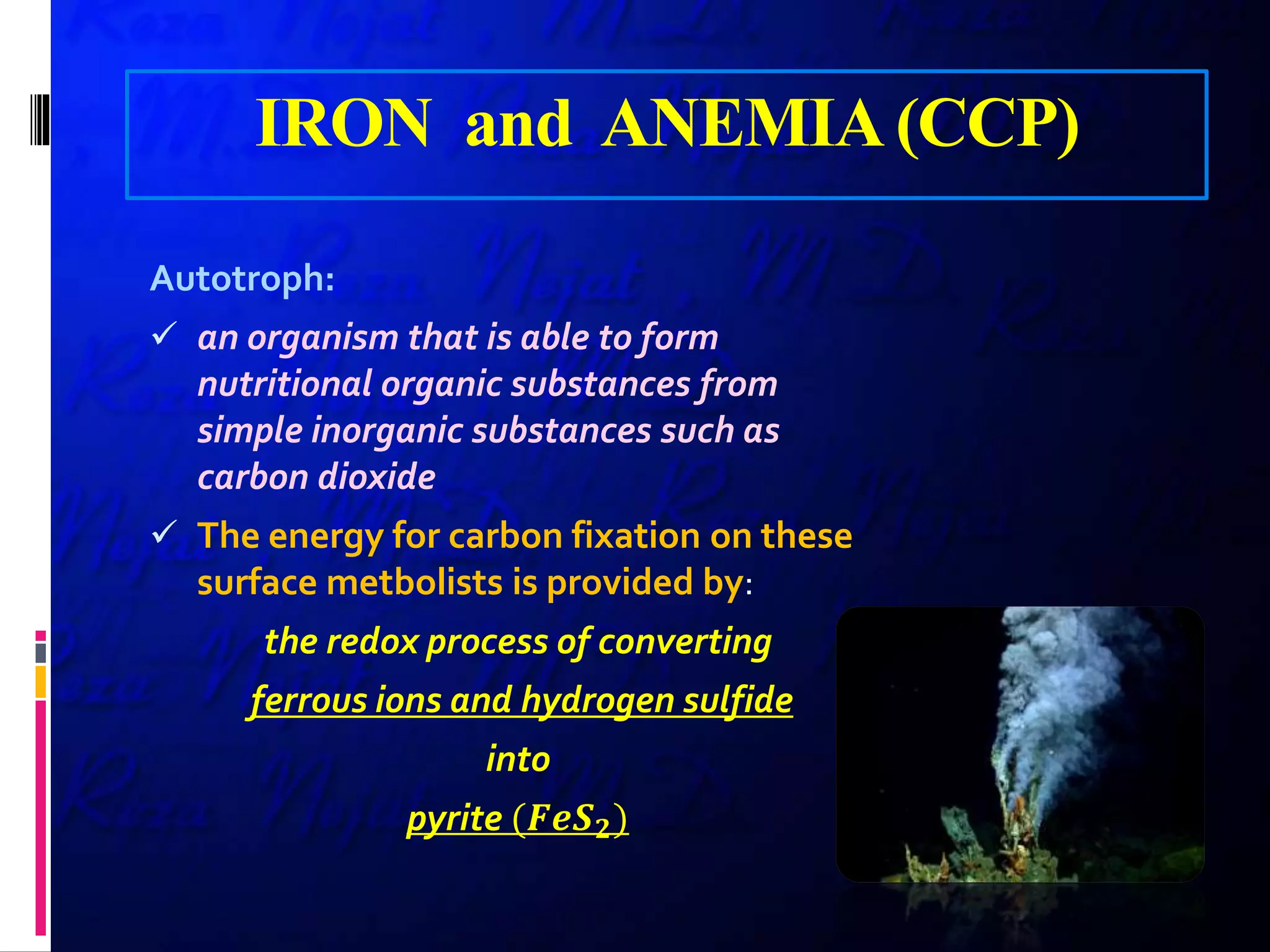 Iron and anemia in CCM | PPT