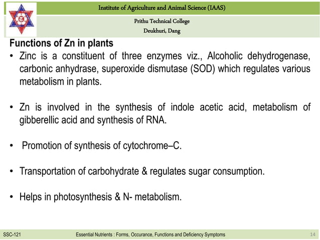 Functions and deficiency of Iron, boron and zinc | PPTX | Chemistry ...