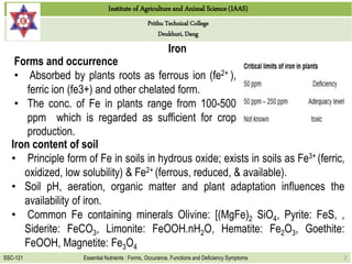 Functions and deficiency of Iron, boron and zinc | PPTX