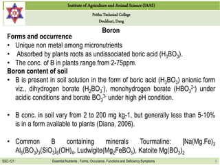 Functions and deficiency of Iron, boron and zinc | PPTX