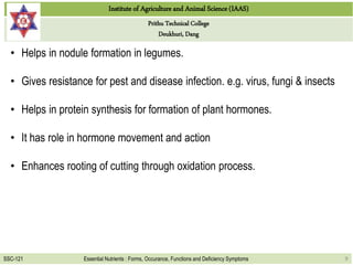 Functions and deficiency of Iron, boron and zinc | PPTX