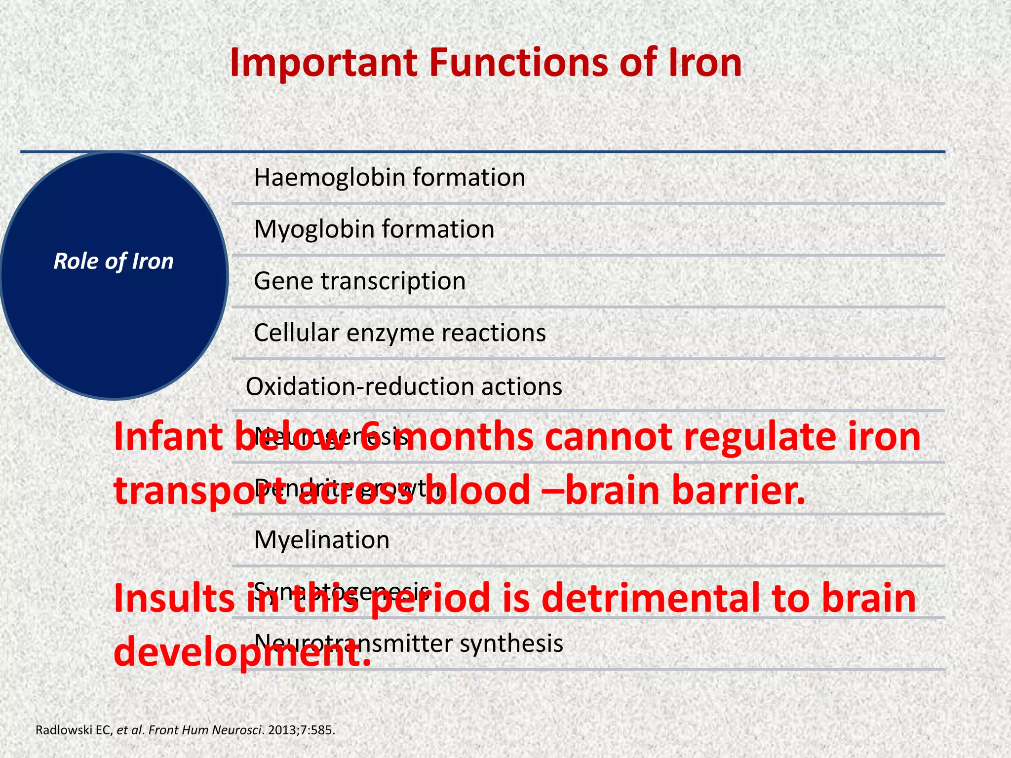 Iron & Cognition | PPTX