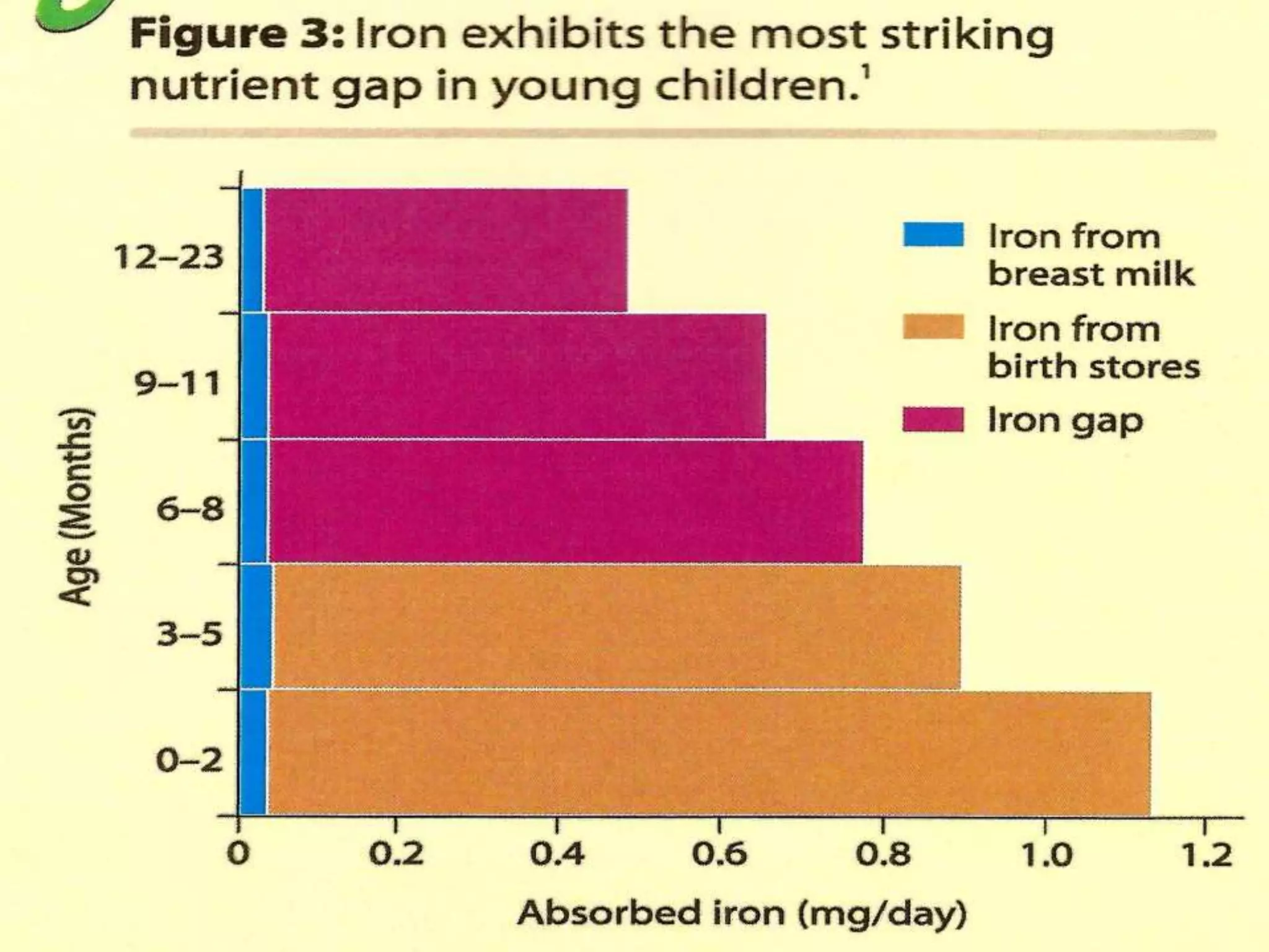Iron & Cognition | PPTX