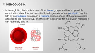 IRON METABOLISM IN HUMAN BODY copy.pptx by Dr. Sandeep Kumar S | PPTX