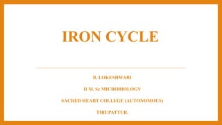 Bio geo chemical cycle...(Iron cycle).pptx