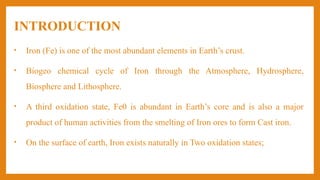 Bio geo chemical cycle...(Iron cycle).pptx