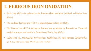 Bio geo chemical cycle...(Iron cycle).pptx