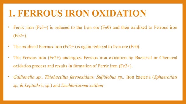 Bio geo chemical cycle...(Iron cycle).pptx
